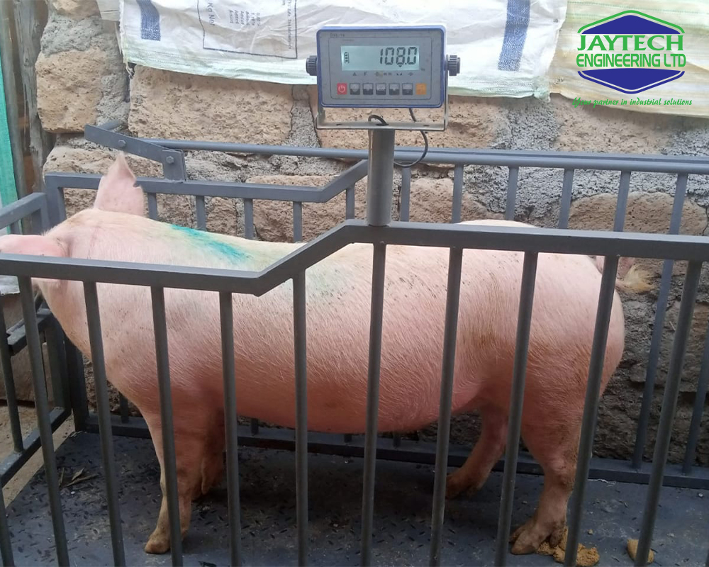 Scales - JAYTECH ENGINEERING